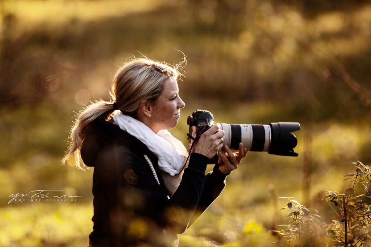 Startseite - Kathrin Werth Photography Pferdefotografie Hundefotografie