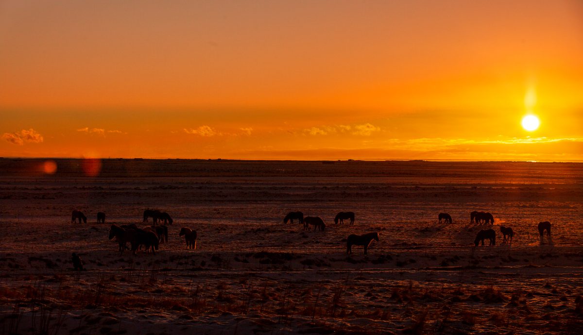 Kontakt - Kathrin Werth Photography